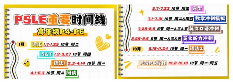 What is PSLE? A Complete Beginner’s Guide | United Lisen | 联邦乐尚